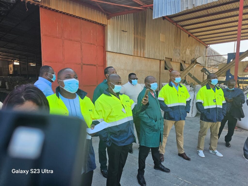 COMESA Launches Landmark Regional Seed Certification to Boost Quality ...